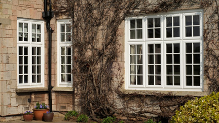 Cottage Windows - 10 Year Guarantee | Anglian Home