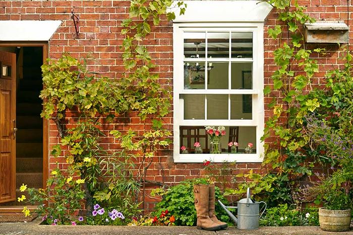 Georgian Windows | Anglian